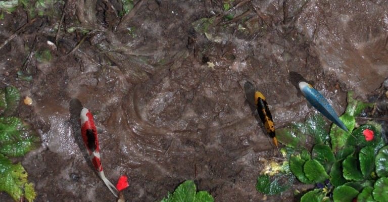 App Creation #18 - App Inspiration - Pocket Pond | Pixel Refresh